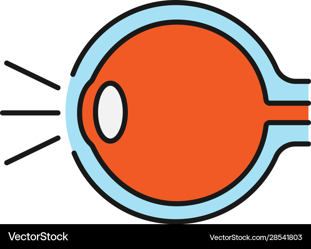 Eye anatomy color icon Royalty Free Vector Image