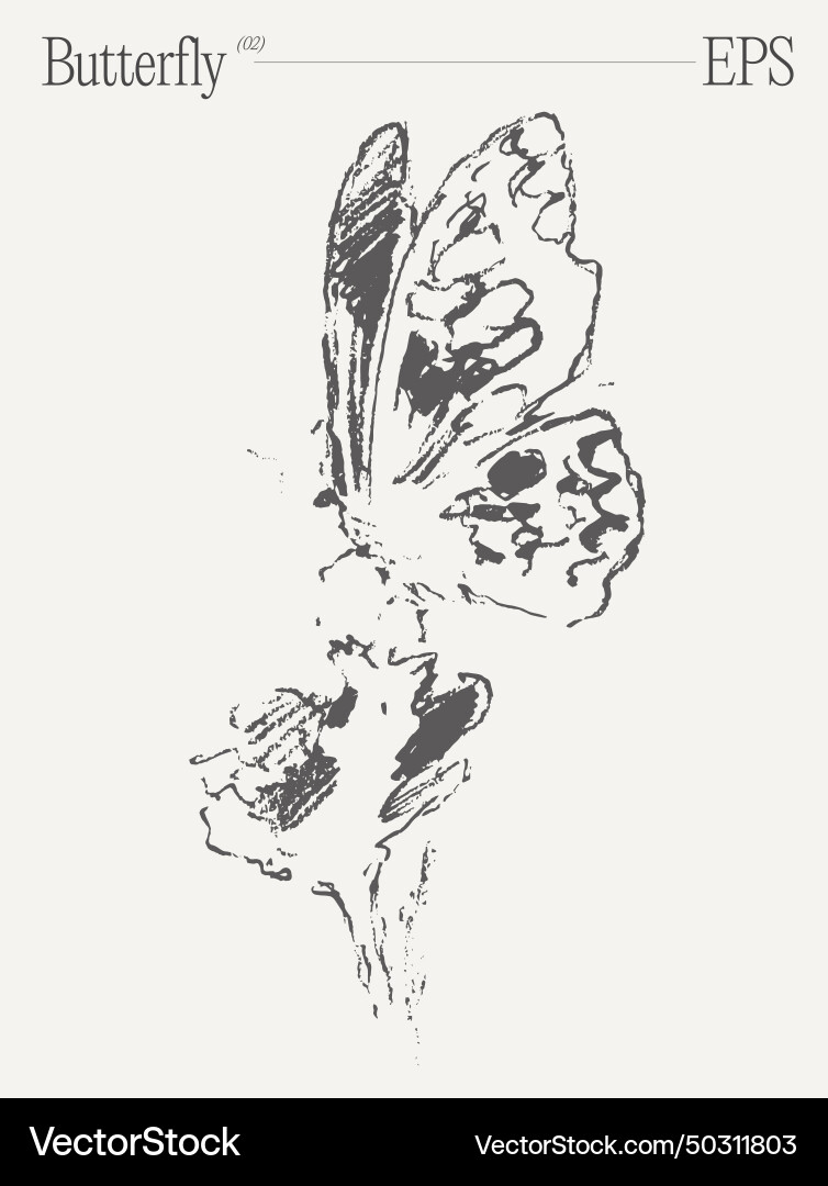 Hand drawn of a butterfly Royalty Free Vector Image