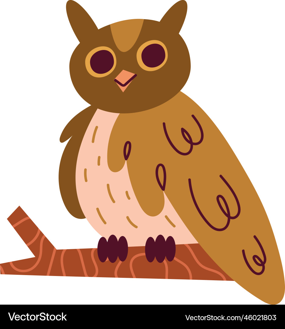 Owl bird wild animal Royalty Free Vector Image