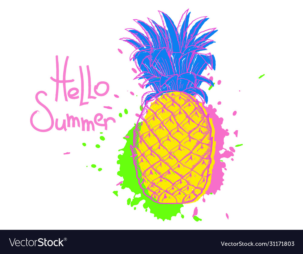 Pineapple hello summer retro multicolored color Vector Image