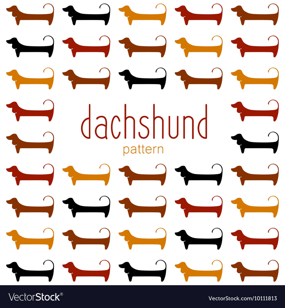 Dachshund pattern template Royalty Free Vector Image