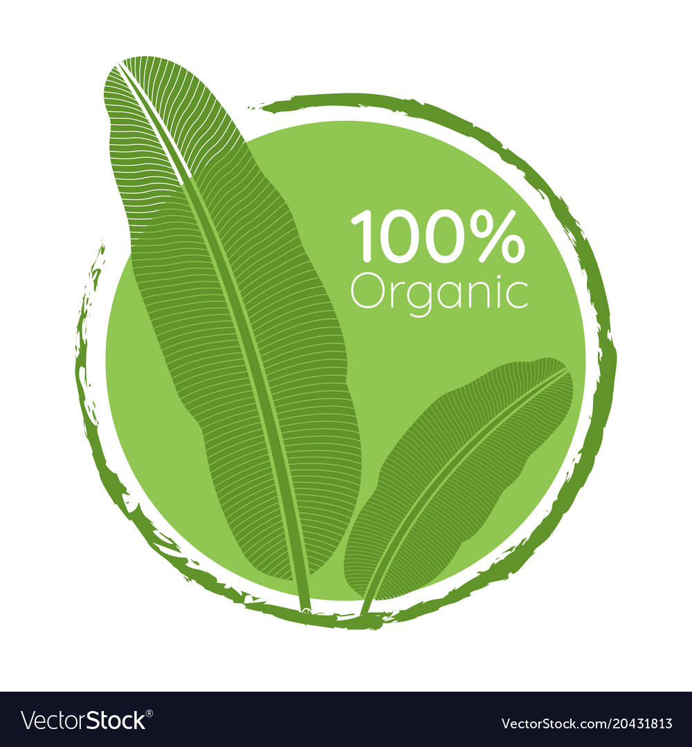 Organic 100 percent natural green leaf logo Vector Image Organic 100 percent natural green leaf logo Vector Image