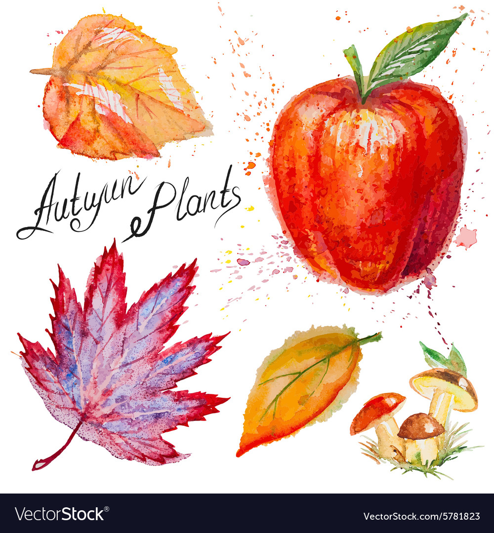 Autumn leaves mushrooms and apple Royalty Free Vector Image