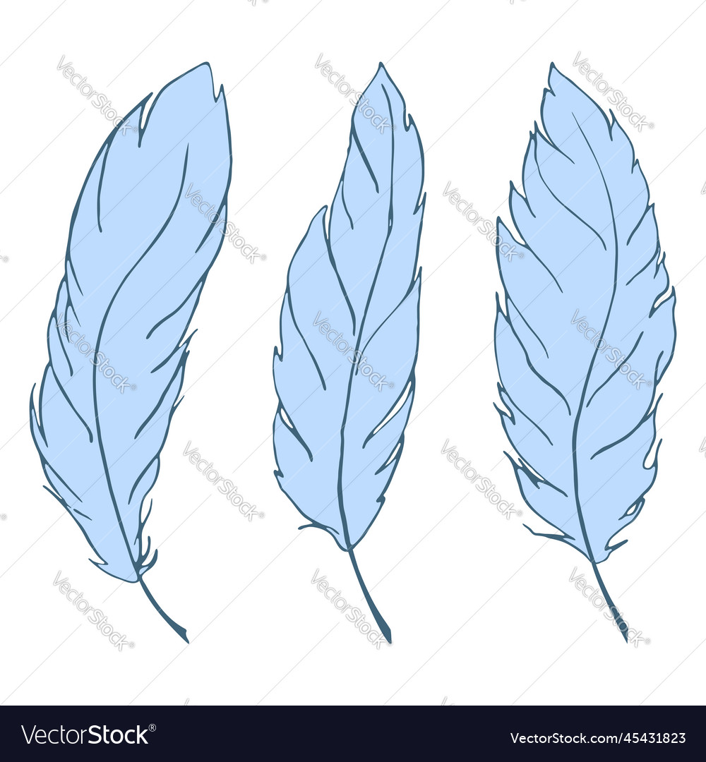 Blue bird feather animal line art set Royalty Free Vector