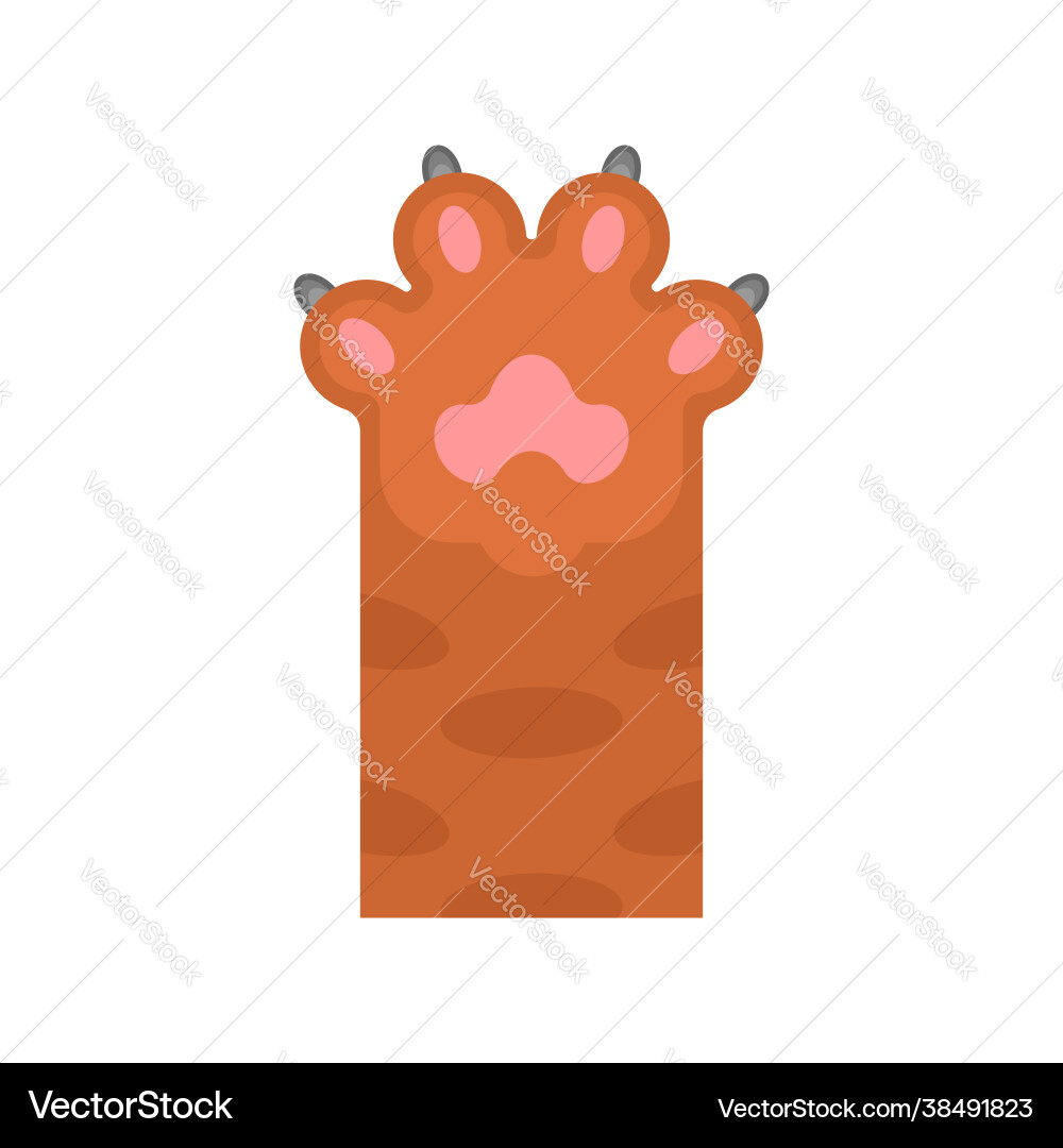 Cat foot isolated pet paw Royalty Free Vector Image