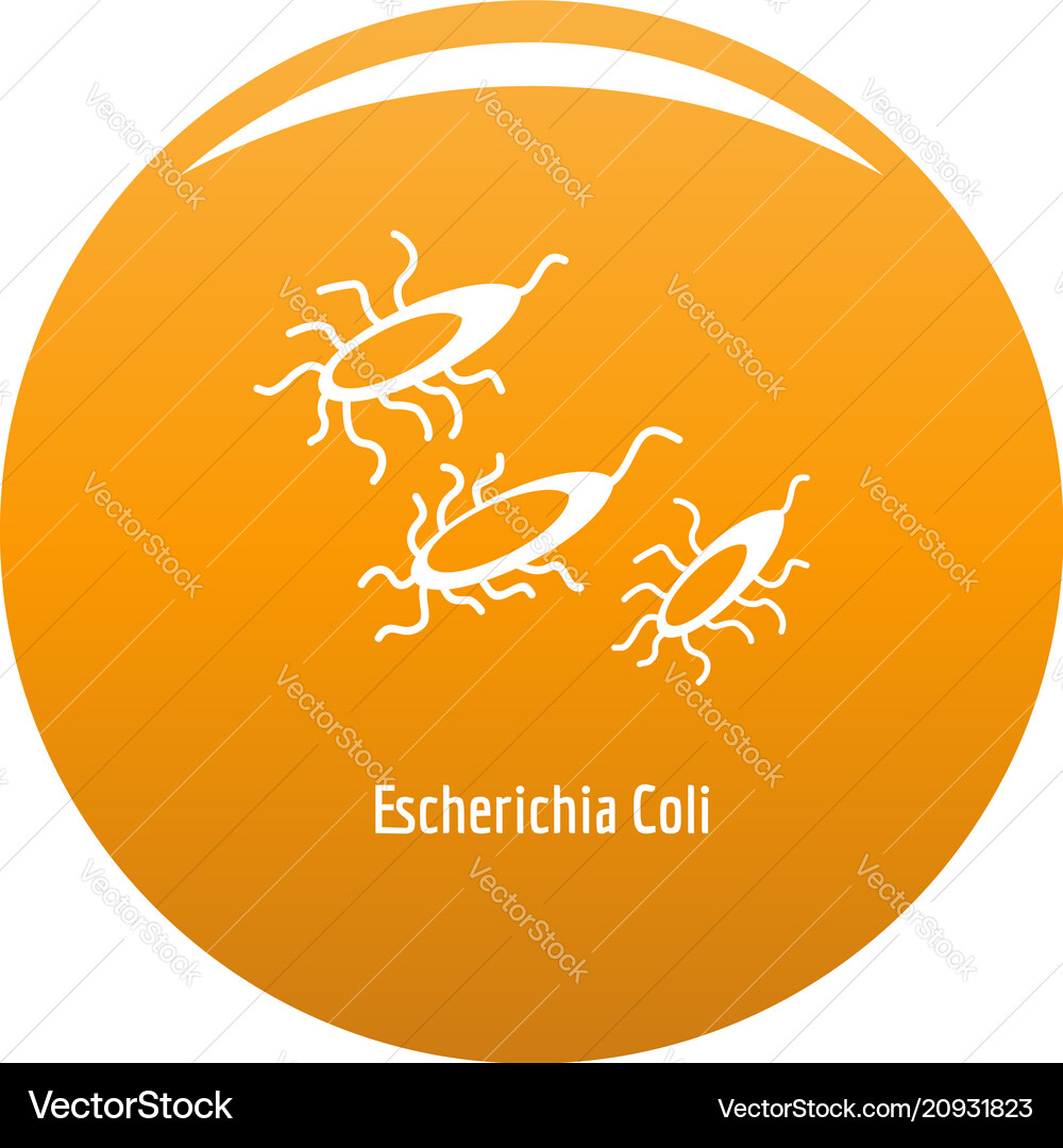 Escherichia coli icon orange Royalty Free Vector Image