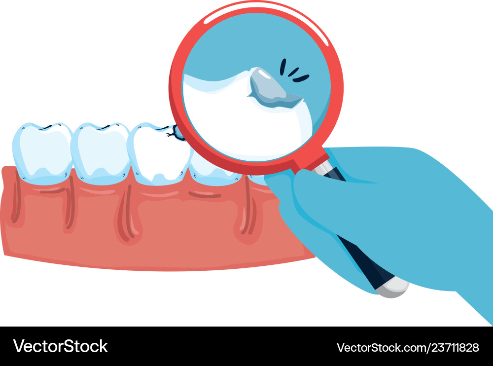 Human teeth with magnifying glass Royalty Free Vector Image