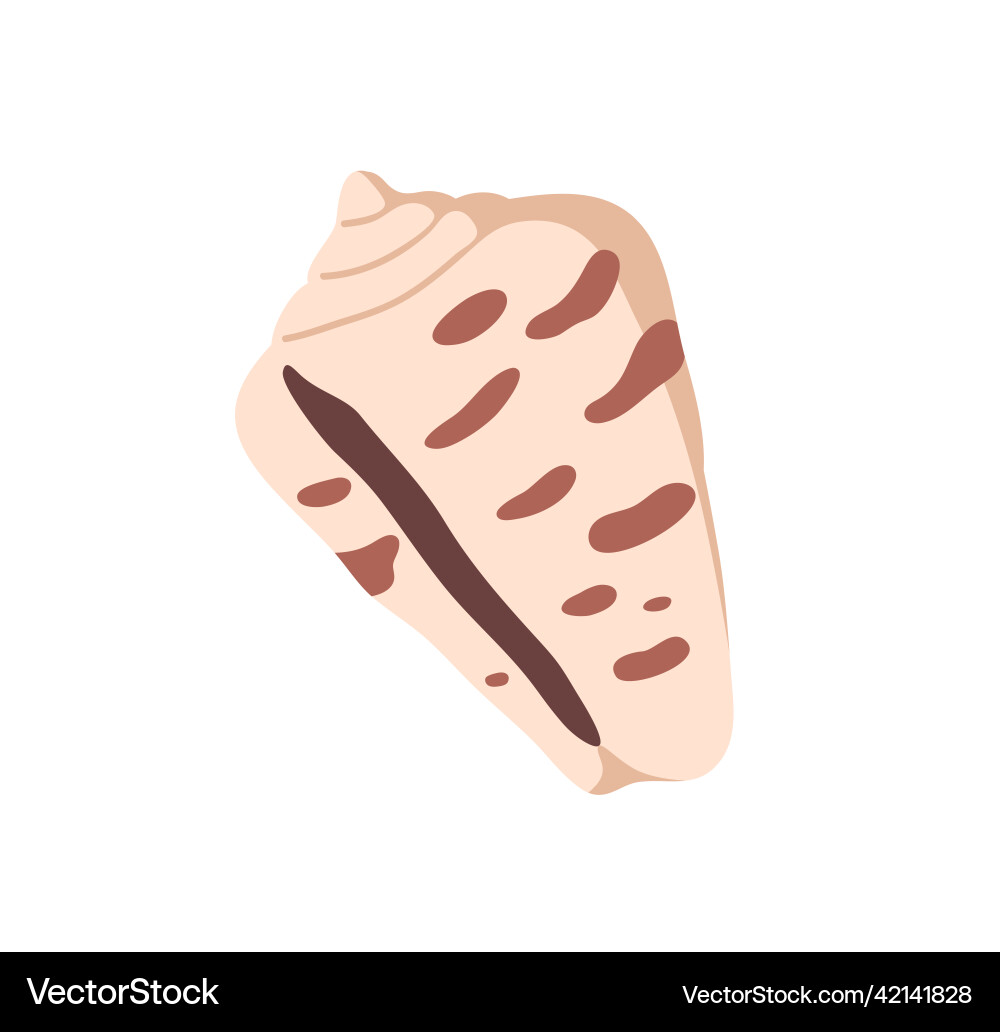 Marine sea shell underwater mollusc seashell Vector Image