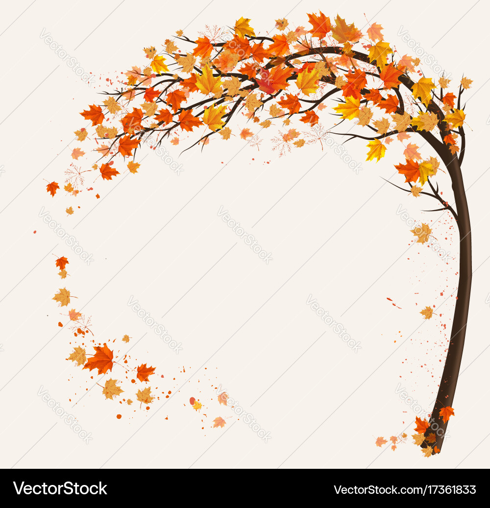 Autumn background with a tree and a colorful Vector Image