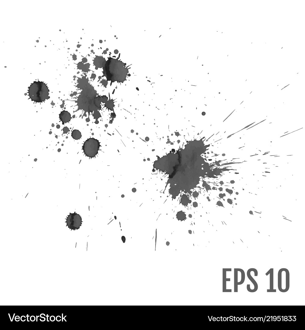 Set of gray splash on white background all Vector Image