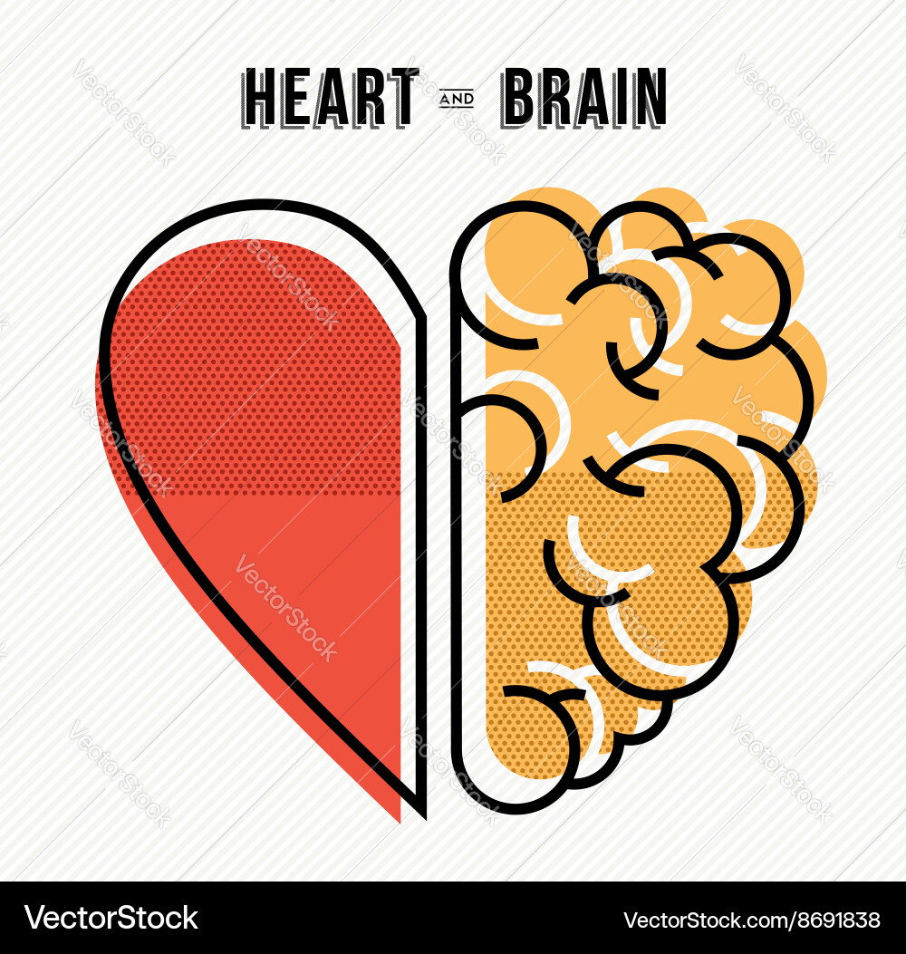 Heart and brain concept design in modern style Vector Image