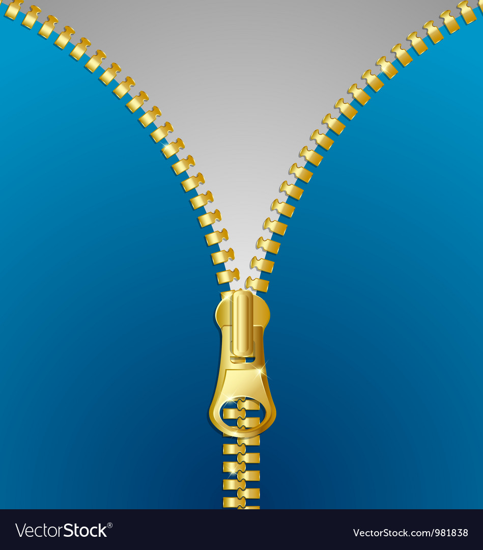Metallic zipper Royalty Free Vector Image - VectorStock
