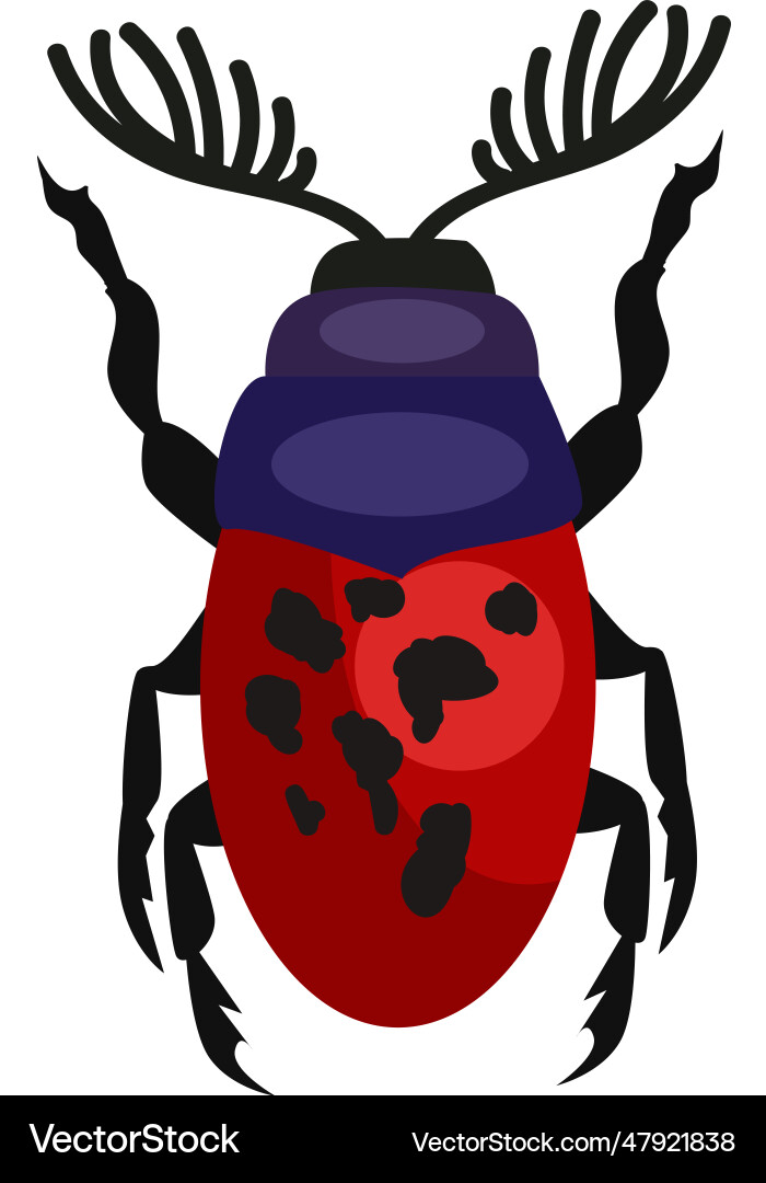 Red spotted stag beetle isolated Royalty Free Vector Image