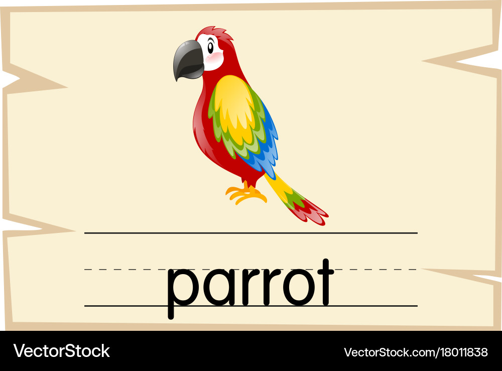 Wordcard template for word parrot Royalty Free Vector Image