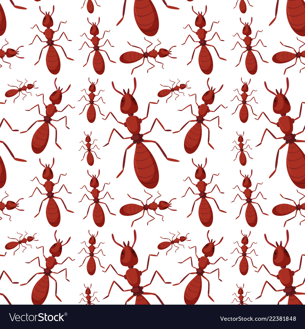 Red ant seamless pattern Royalty Free Vector Image