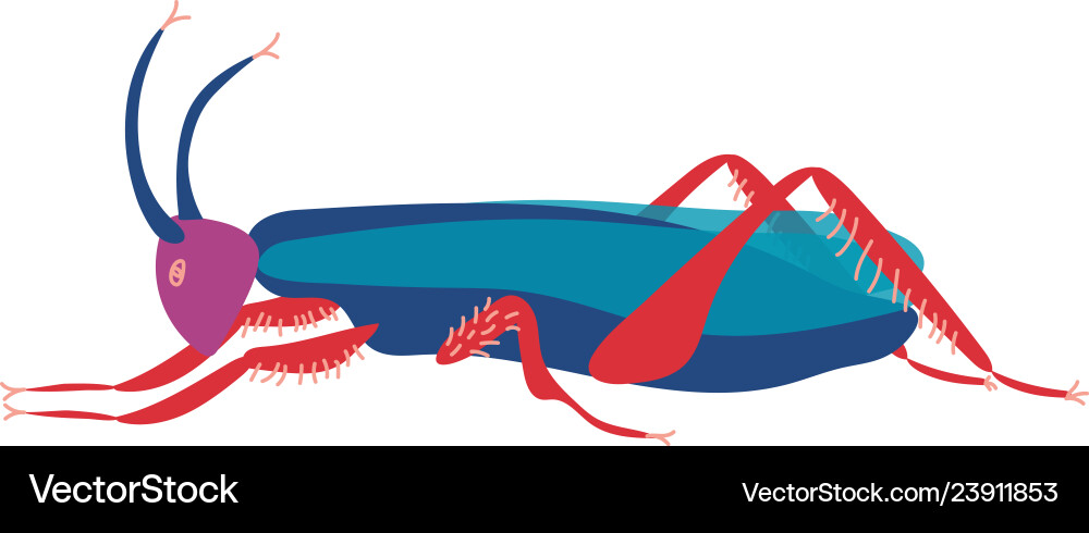 Cute colorful grasshopper insect side view Vector Image