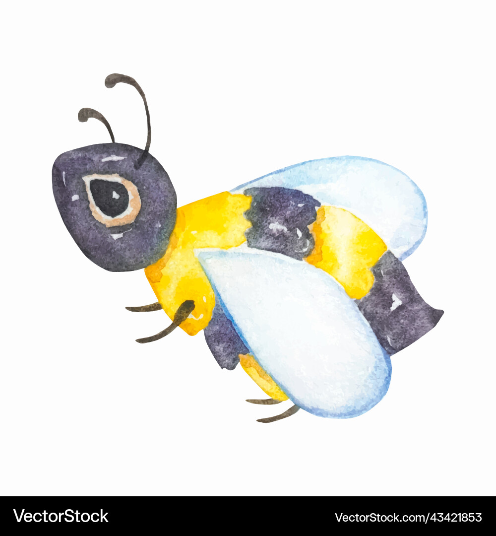 Watercolor cute honey bee Royalty Free Vector Image