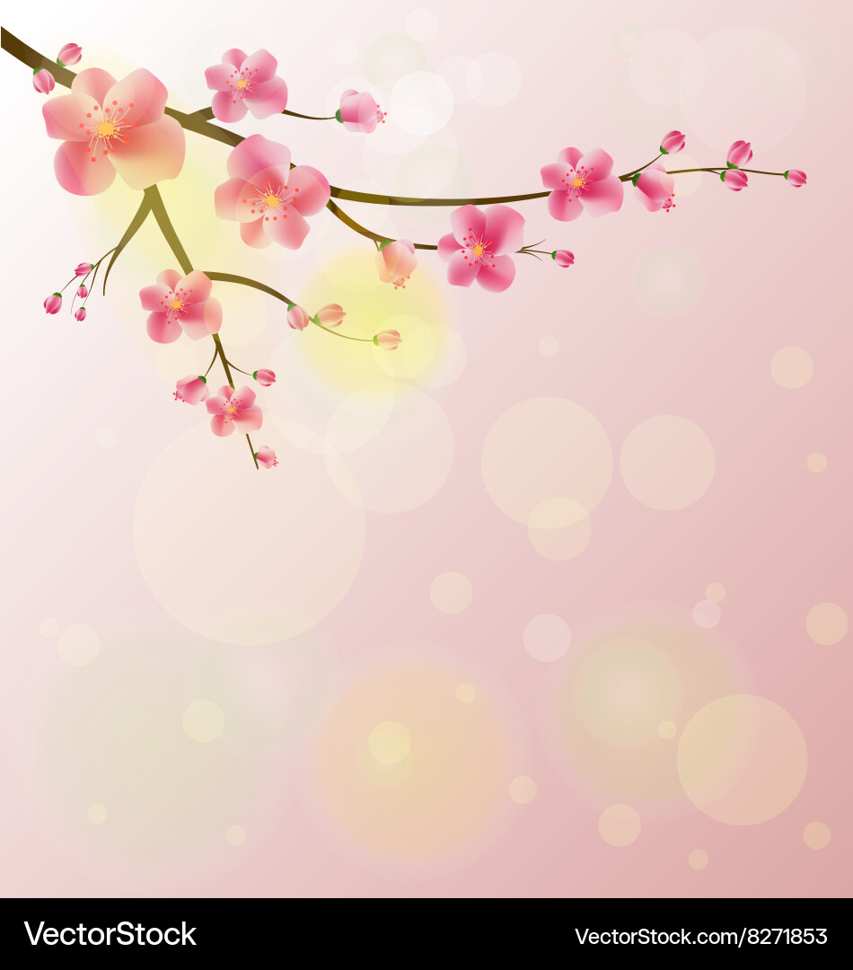 Watercolor sakura frame Background with blossom Vector Image