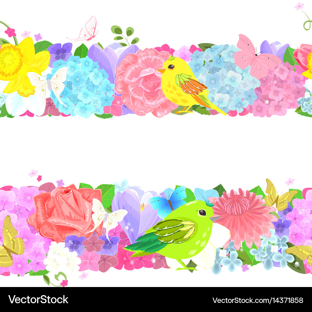 Collection of seamless horizontal borders with Vector Image