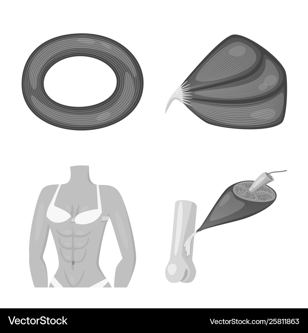 Design human and body symbol collection Royalty Free Vector