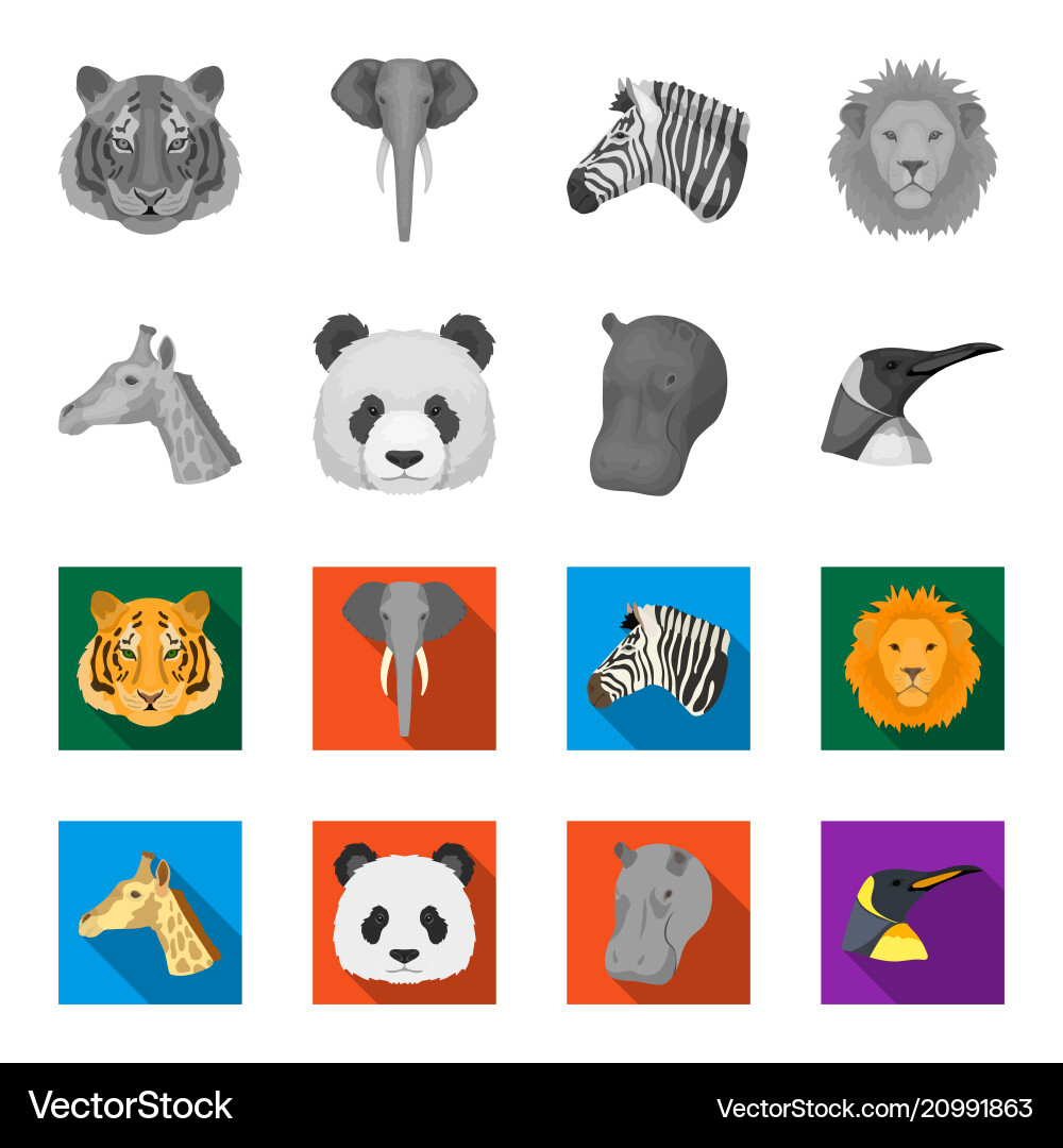 Panda giraffe hippopotamus penguin realistic Vector Image