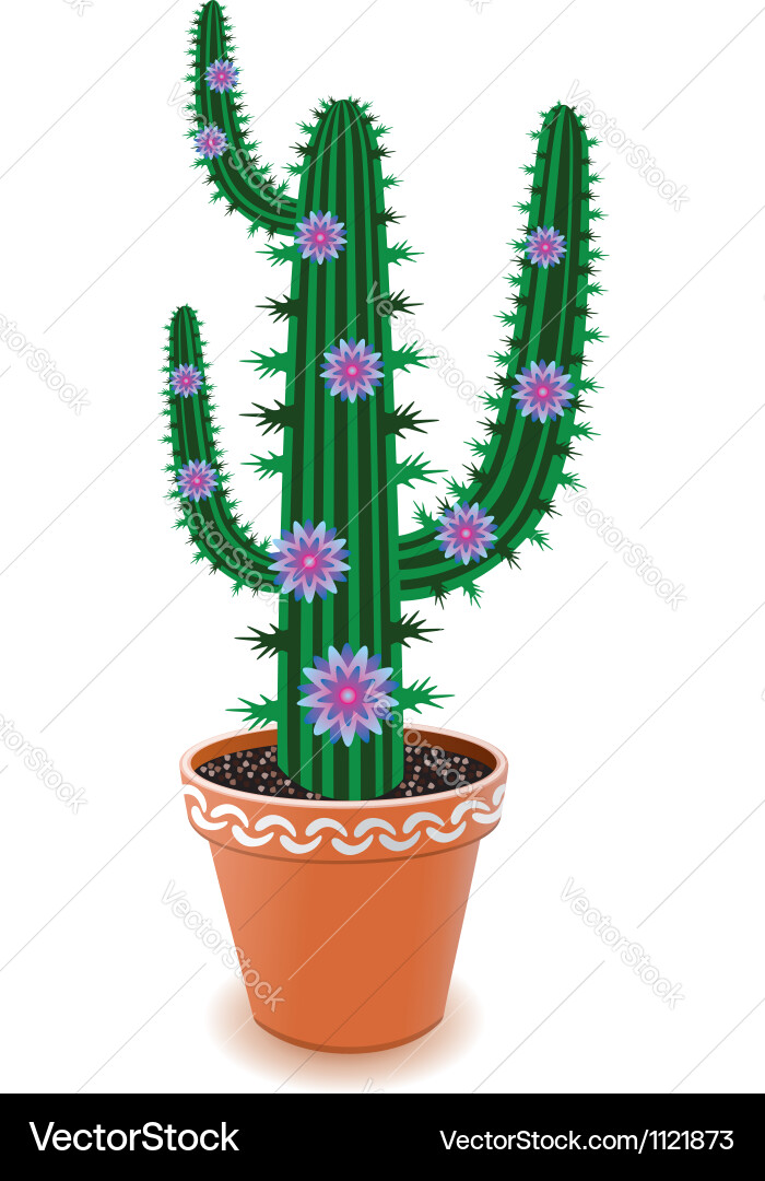 Pot cactus Royalty Free Vector Image - VectorStock