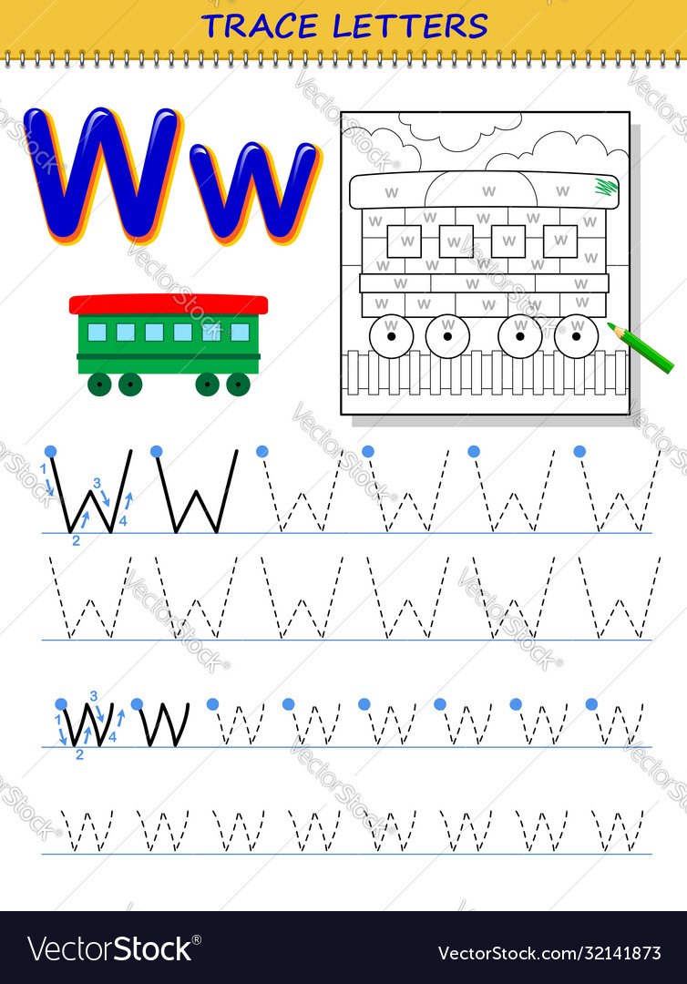 Tracing letter w for study alphabet printable Vector Image