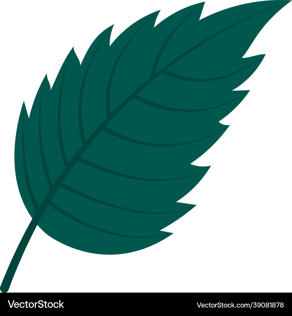 Holly leaf icon Royalty Free Vector Image - VectorStock