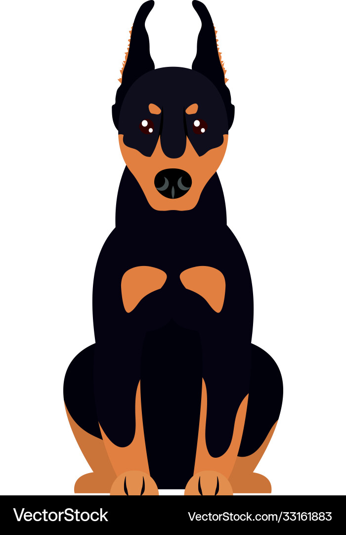 Cartoon doberman dog icon flat style Royalty Free Vector