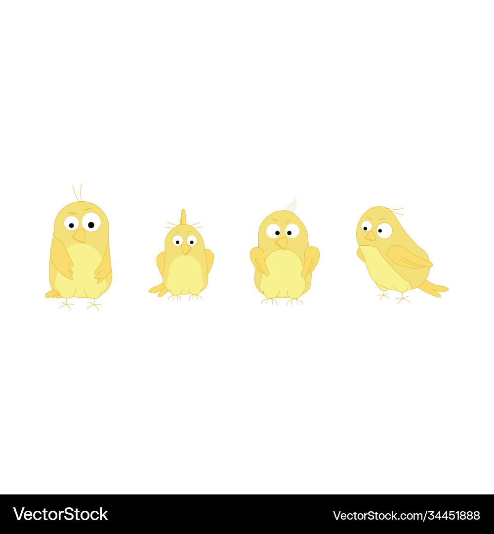 Funny cartoon birds a bird Royalty Free Vector Image