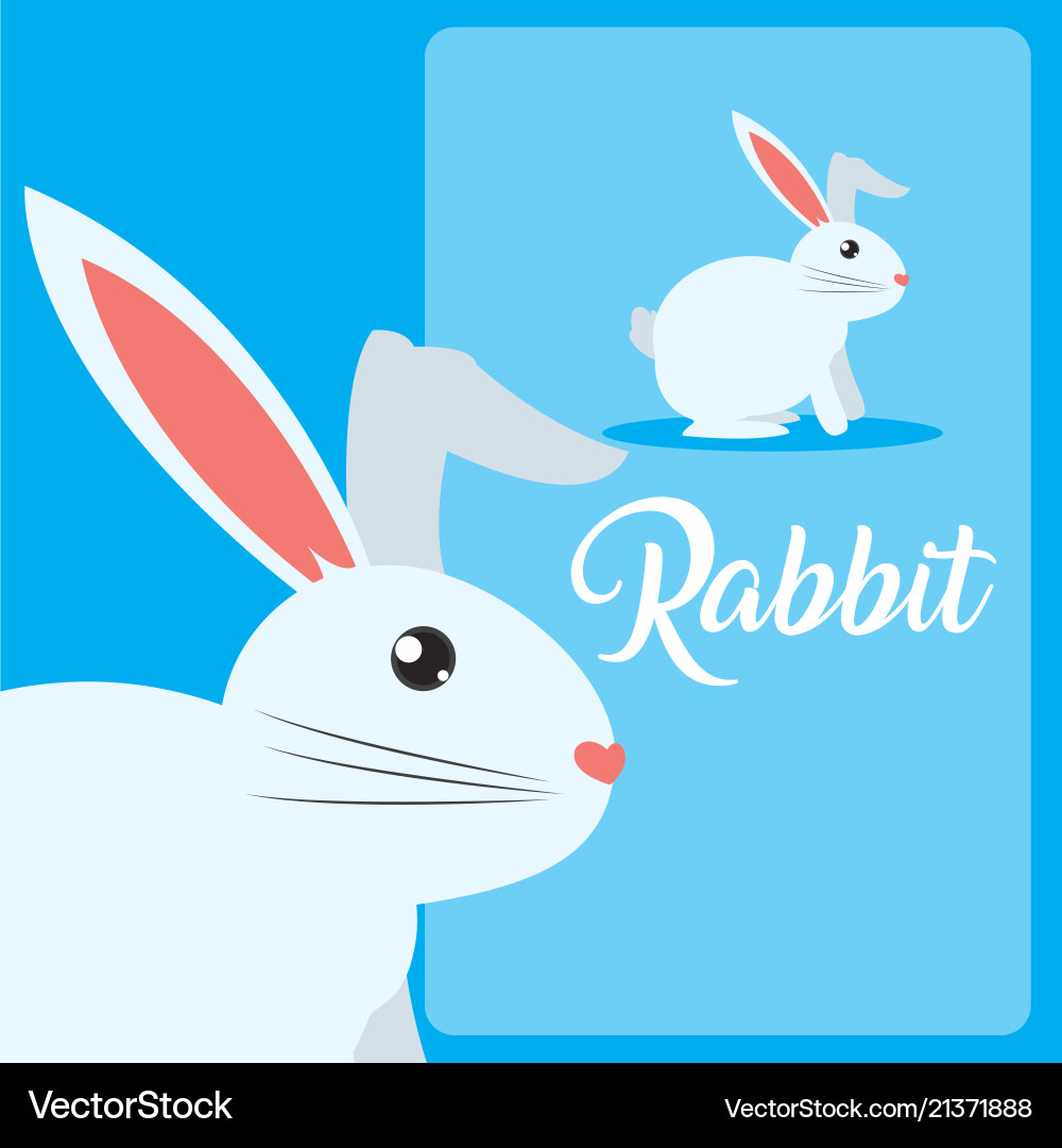 Rabbit cute animal cartoon Royalty Free Vector Image