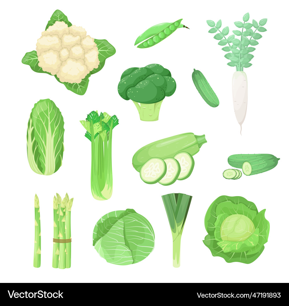 A set of green vegetables Royalty Free Vector Image
