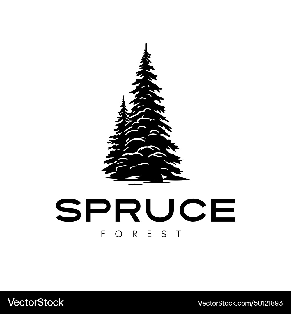Monochrome with a wild spruce logo on white Vector Image