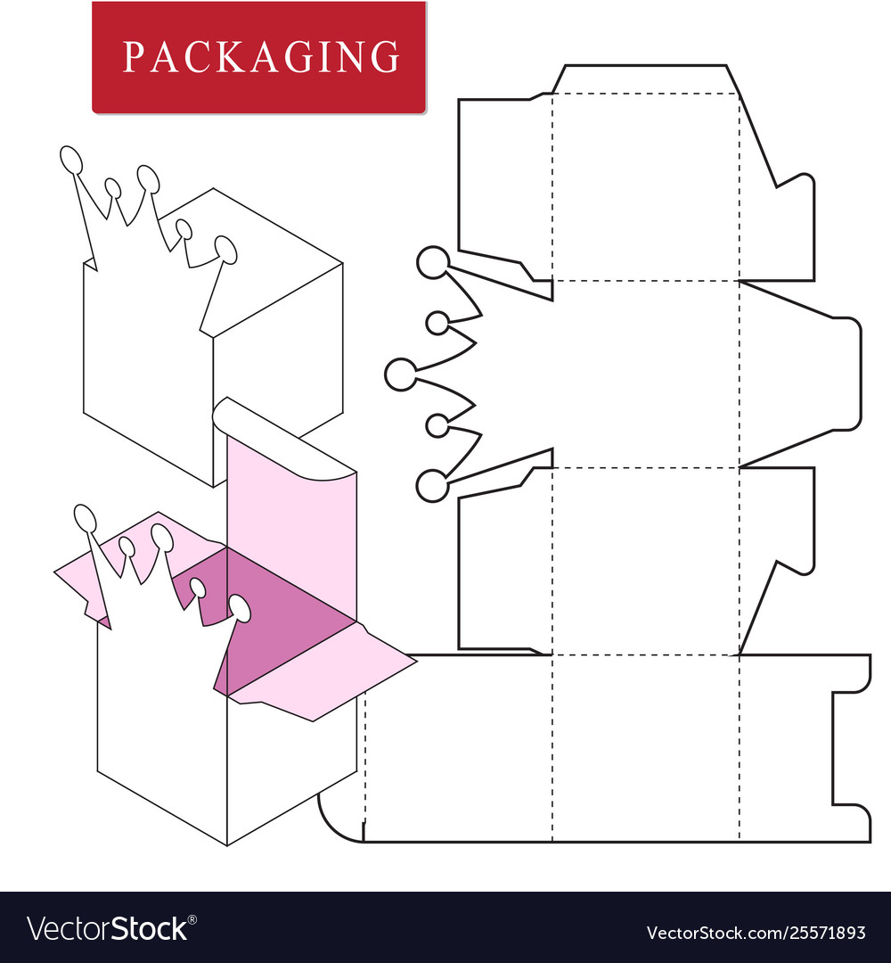 Packaging design boxpackage Royalty Free Vector Image