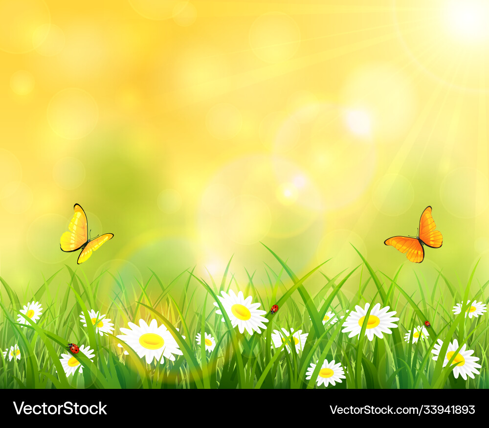 Sunny background with grass and flowers Royalty Free Vector