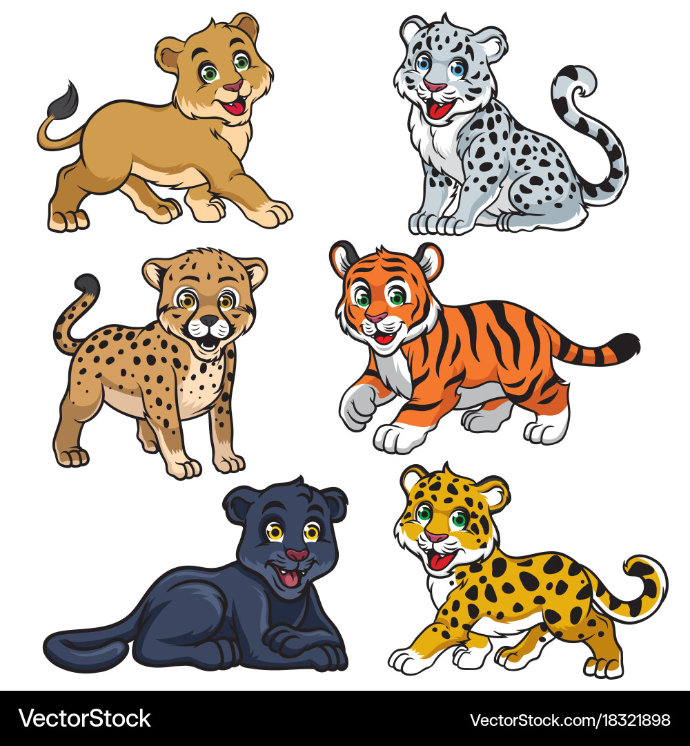 Collection babies big cats Royalty Free Vector Image