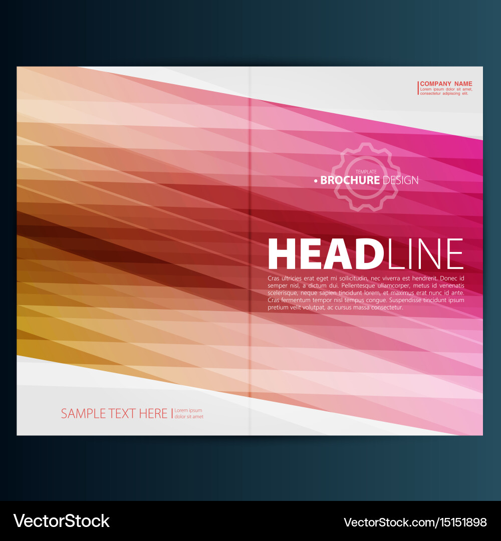 Modern abstract brochure report or flyer design Vector Image