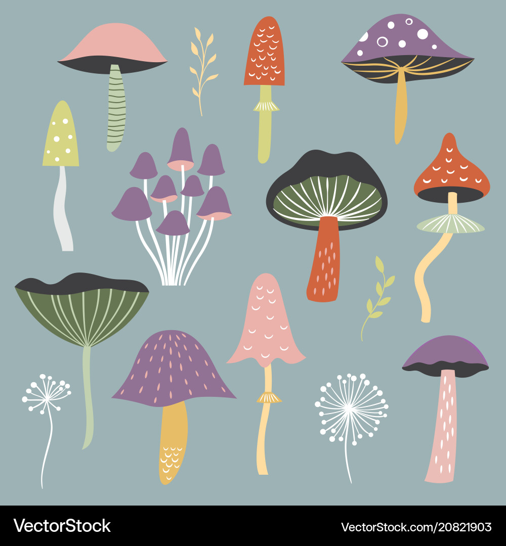 Set of mushrooms Royalty Free Vector Image - VectorStock