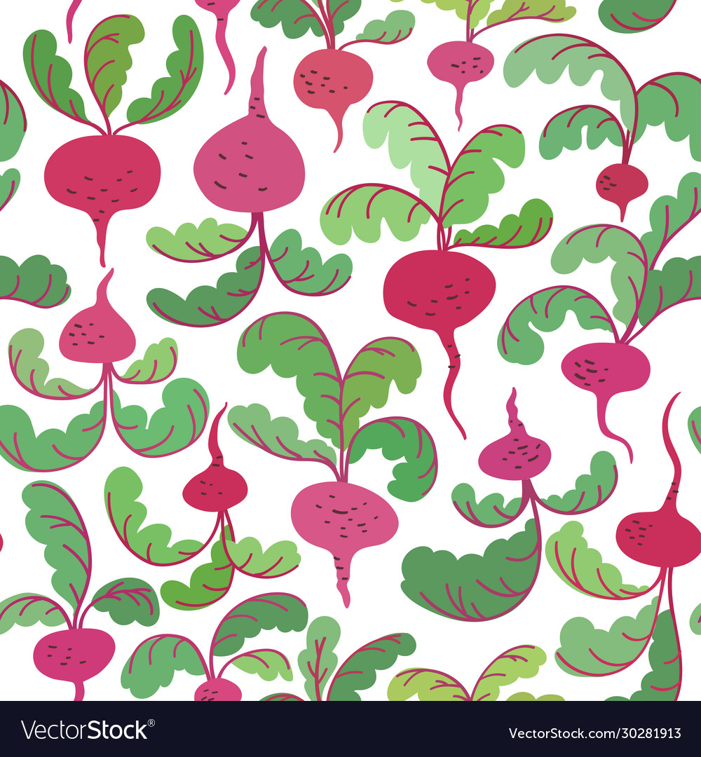 Beetroot seamless pattern Royalty Free Vector Image