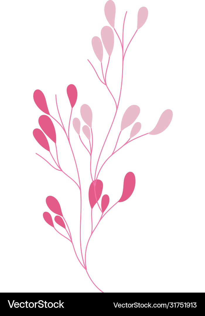 Decorative branch foliage nature isolated design Vector Image