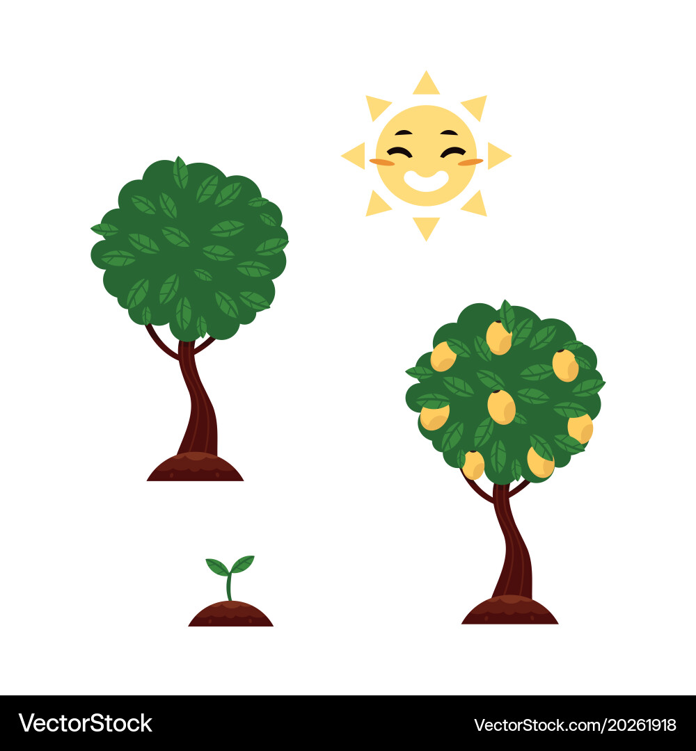 Flat tree planting stages symbols set Royalty Free Vector
