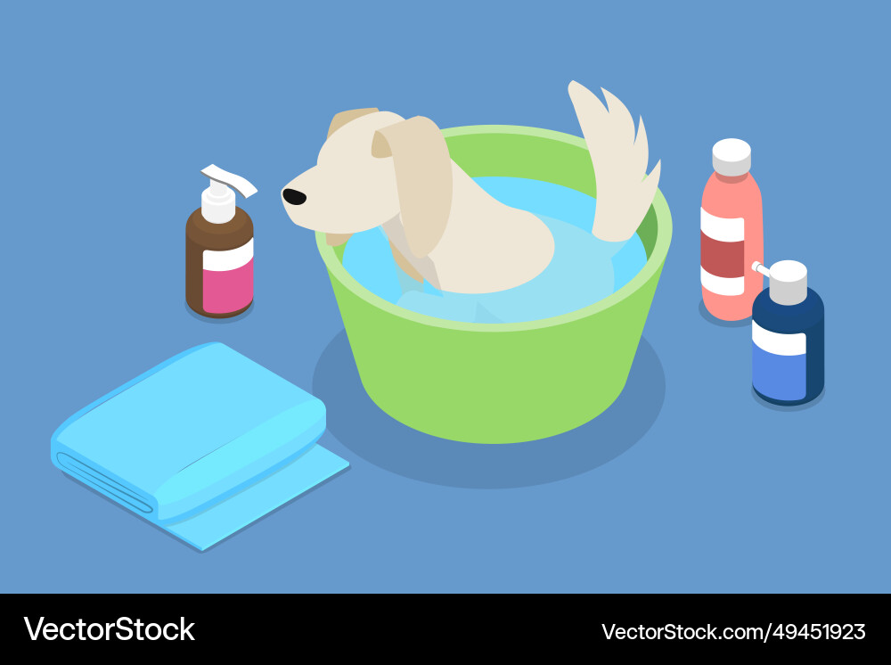 3d isometric flat of relaxing Royalty Free Vector Image