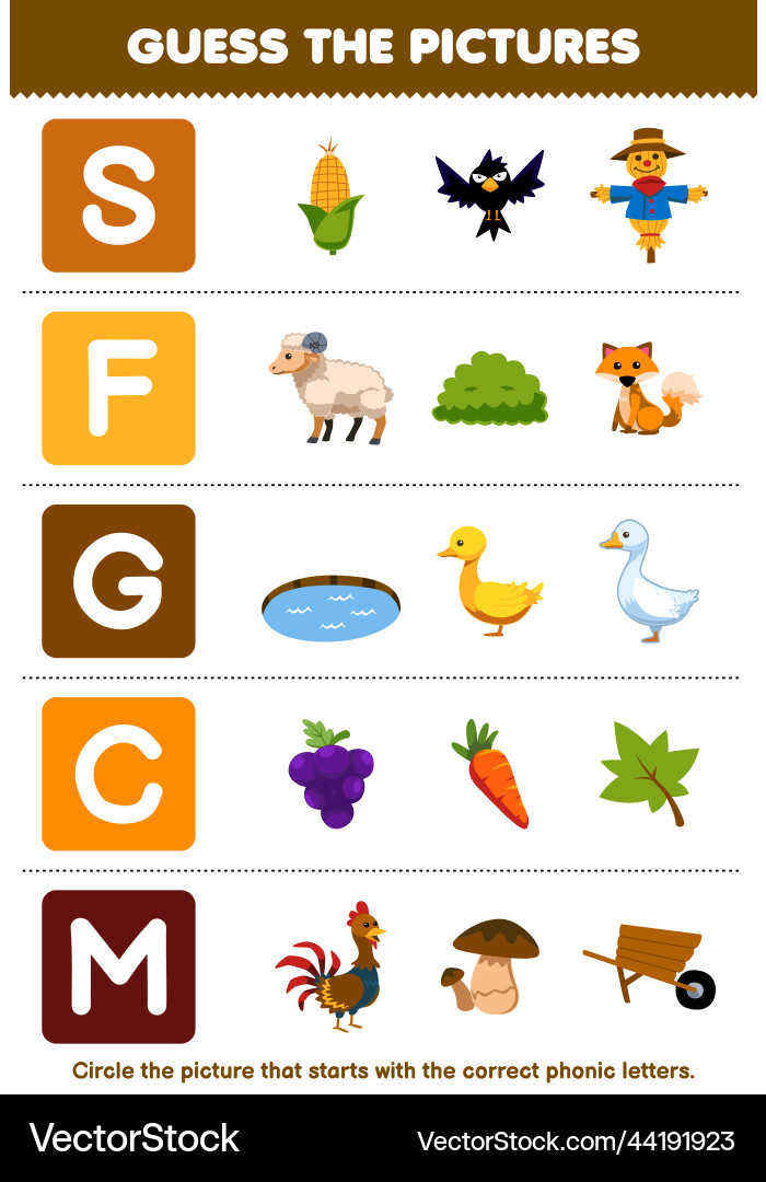 Education game for children guess the correct Vector Image