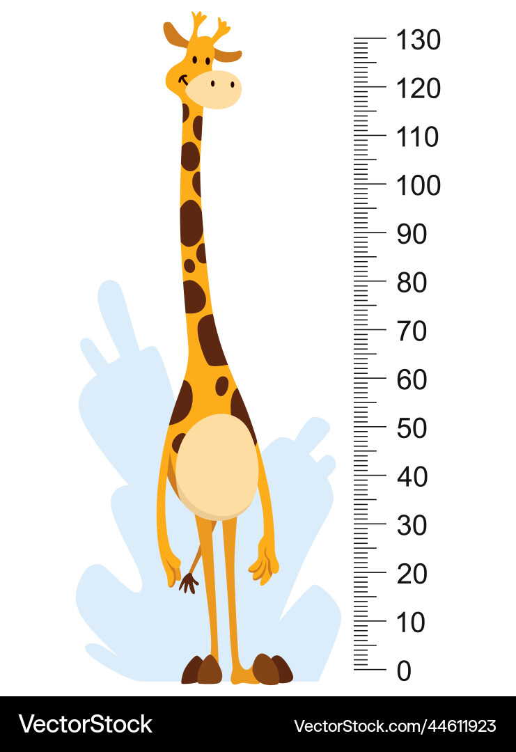 Height measure with growth ruler chart with cute Vector Image