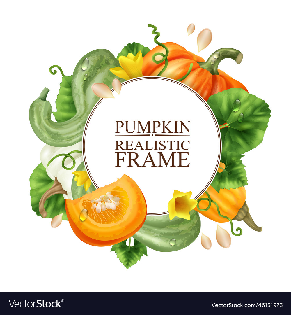 Realistic pumpkin frame Royalty Free Vector Image
