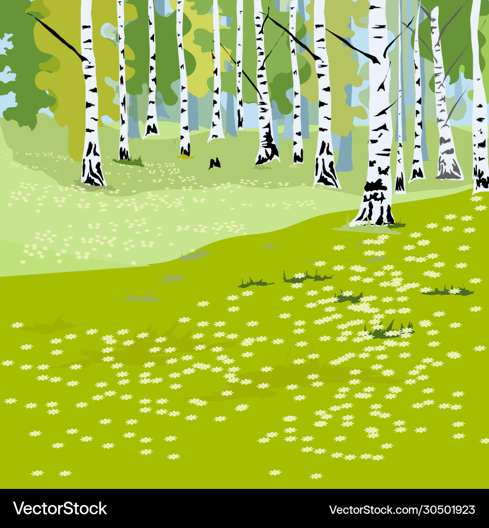 Spring meadow with trees and flowers in forest Vector Image