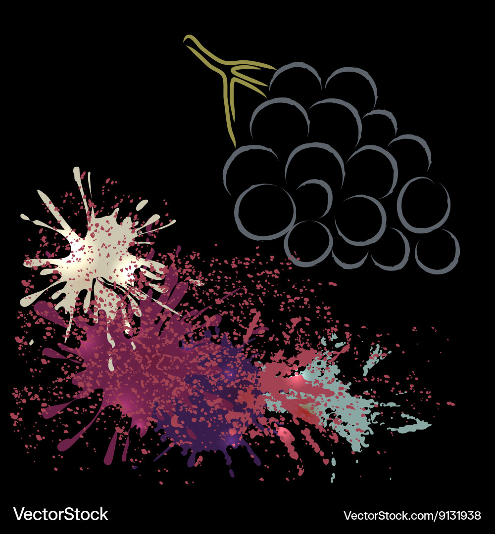 Colored outline of grape with blots Royalty Free Vector