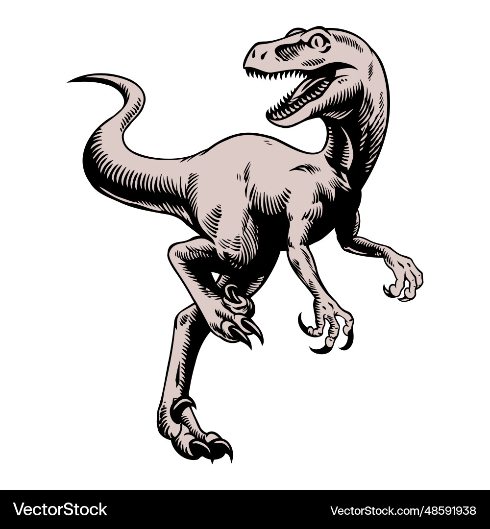 Ferocious raptor hand drawn in black and white Vector Image