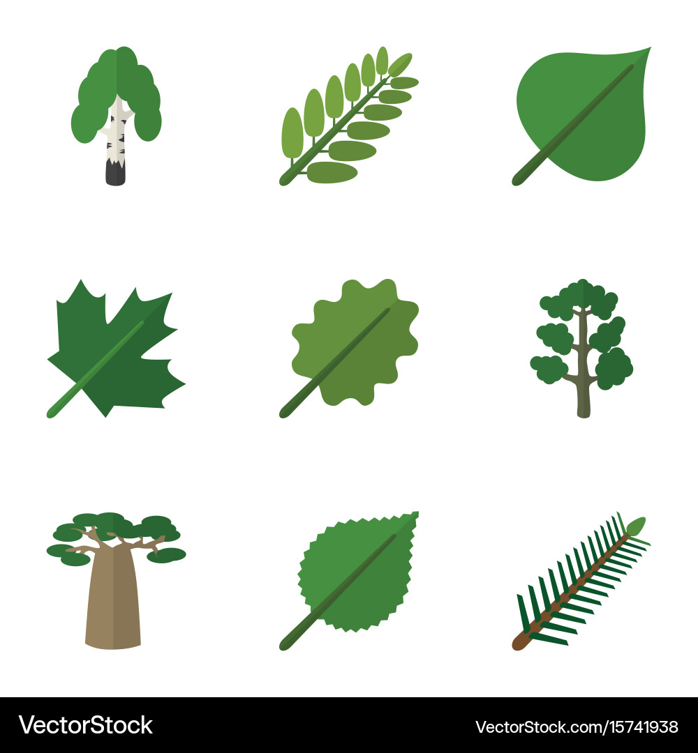 Flat icon nature set timber spruce leaves Vector Image