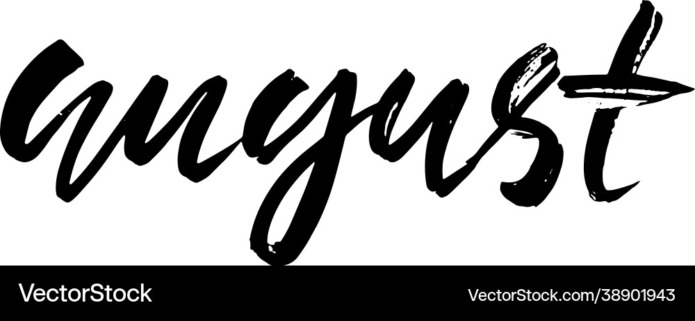 August summer month lettering calligraphic Vector Image